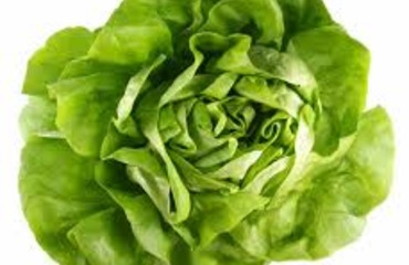 Listový salát | sRecepty.CZ